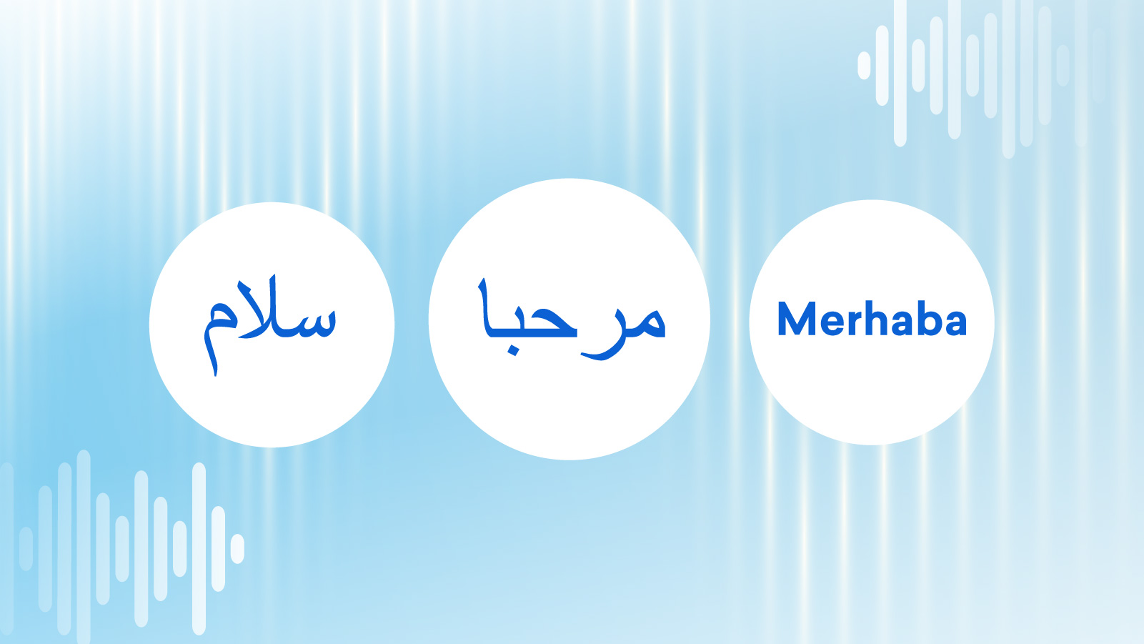 Laila S. and More WellSaid Voices - Vyond Product Releases